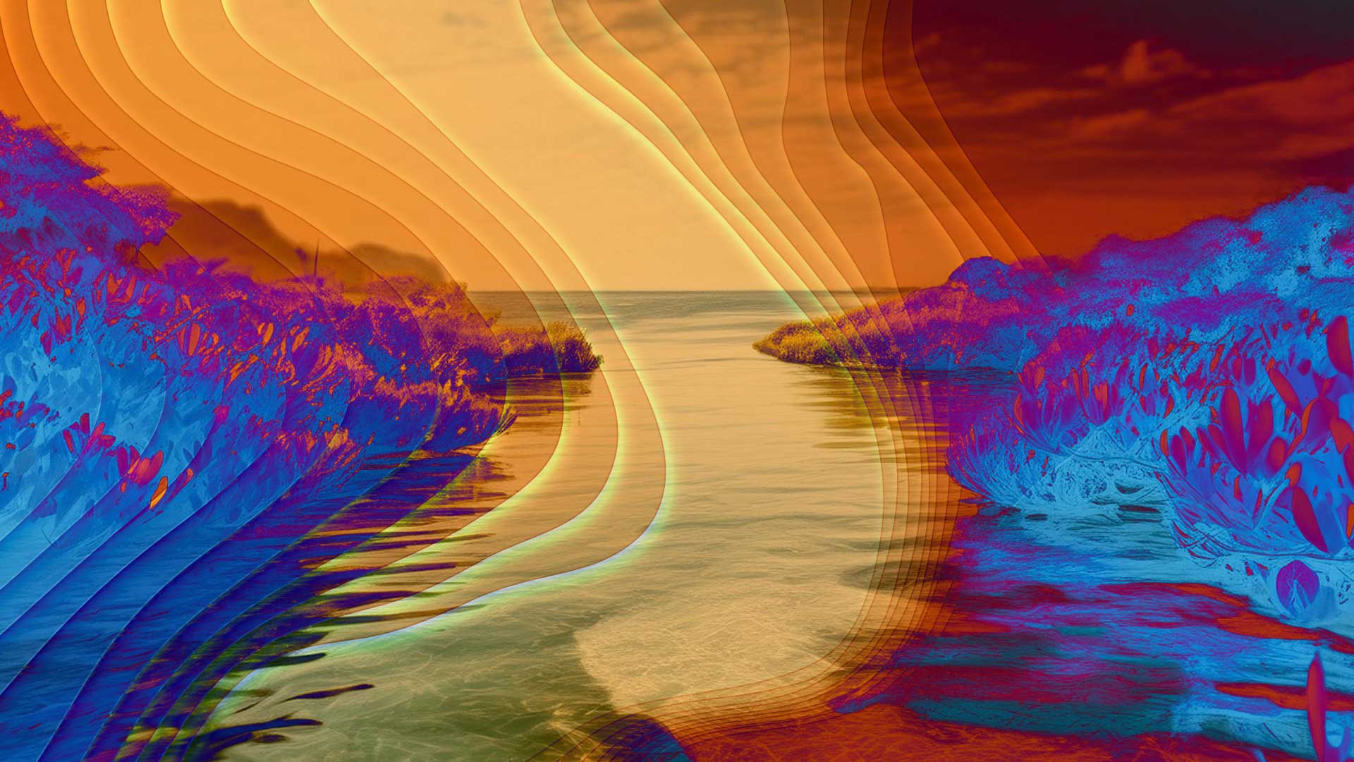 Taller Revitalizar el Canal de Chiamaria – SCA